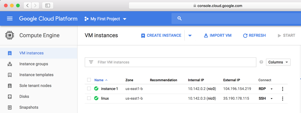 H 201: Google Cloud Linux Server (10 pts)